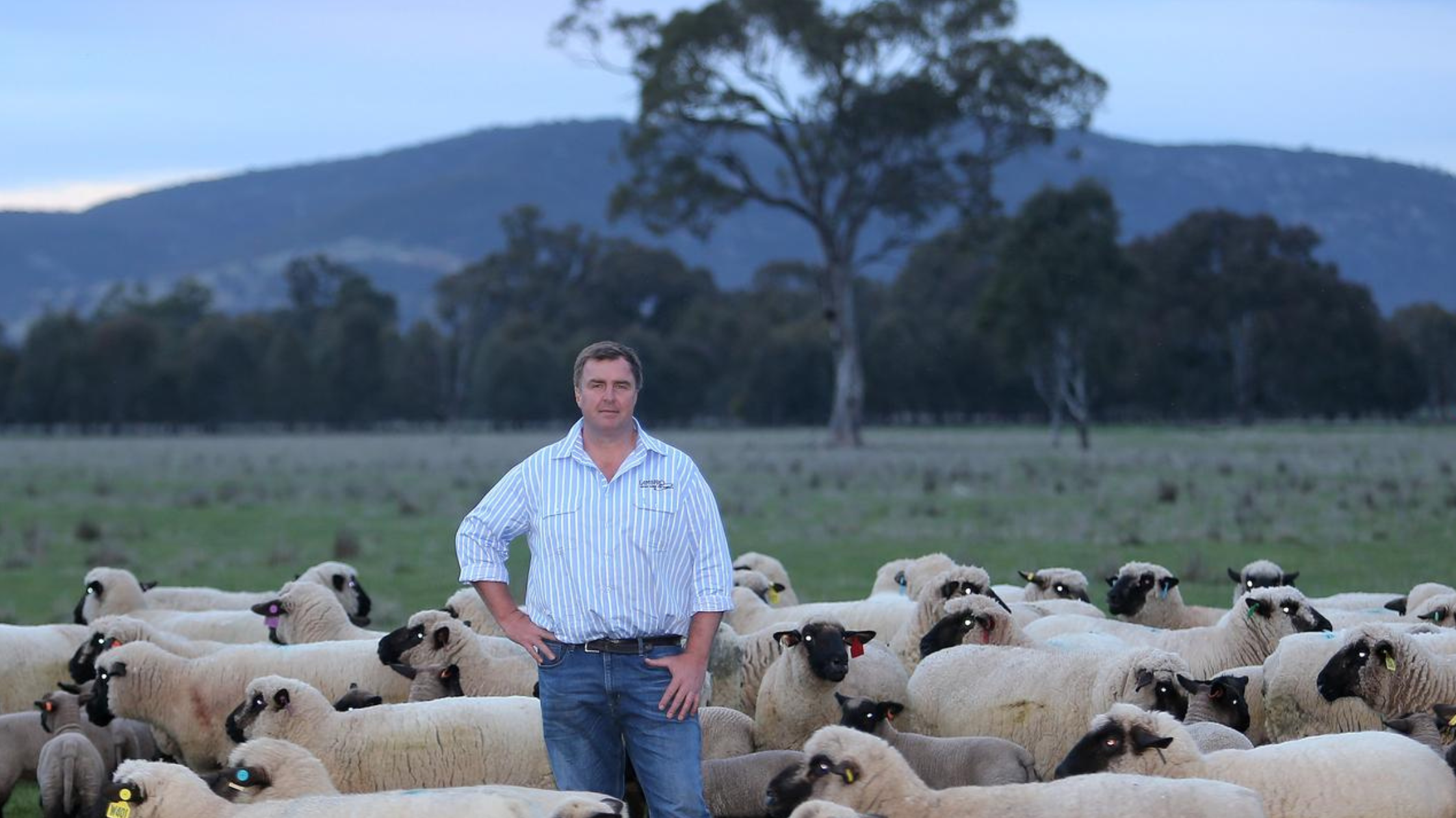 From Farm to Table: How Butcher Box Brings You the World’s Best Meat ...