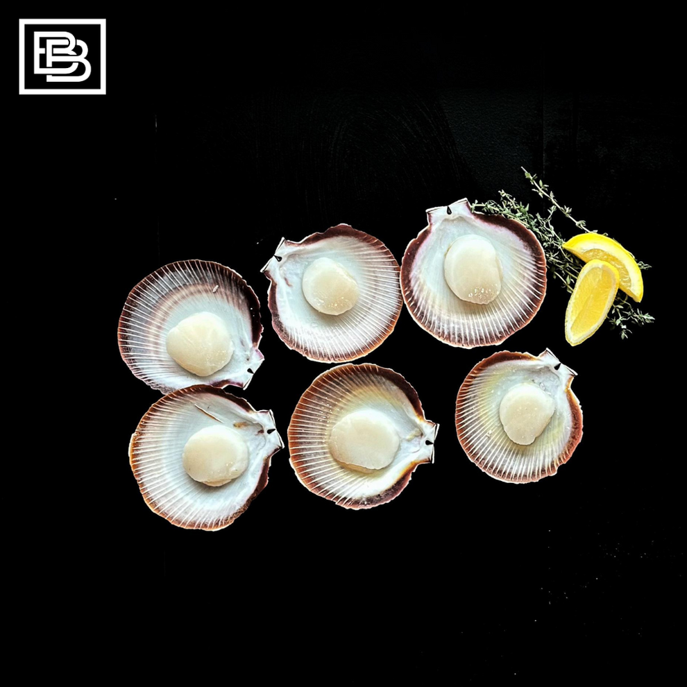 Half Shell Scallop, Scallop – Butcher Box SG